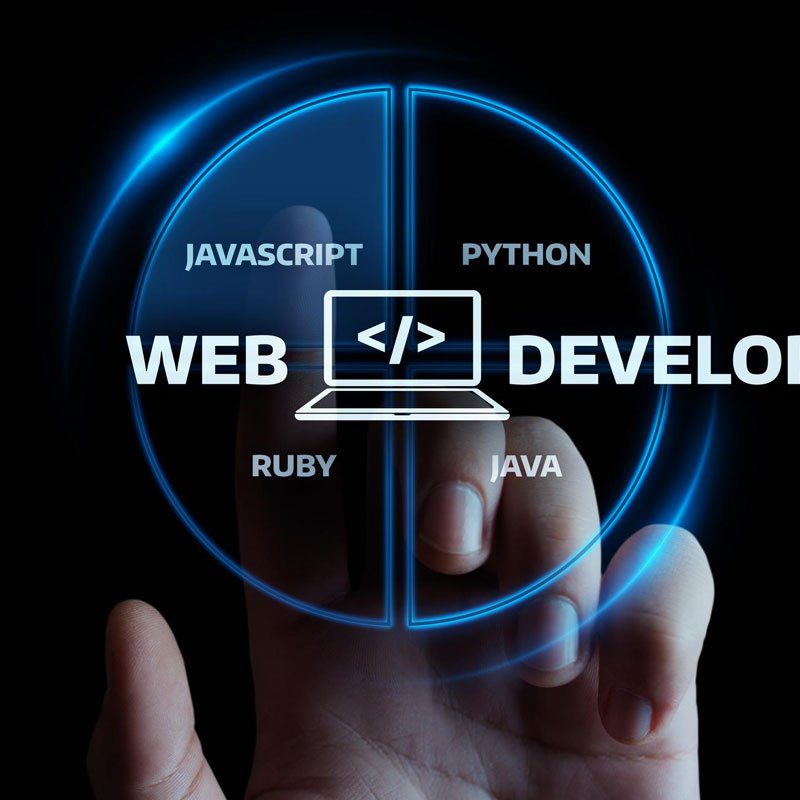 Webflow Development Services | Procave Digital Agency